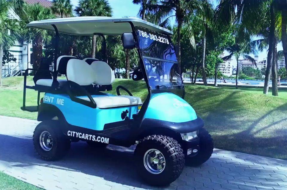 BlueClubCart CityCart - City Carts