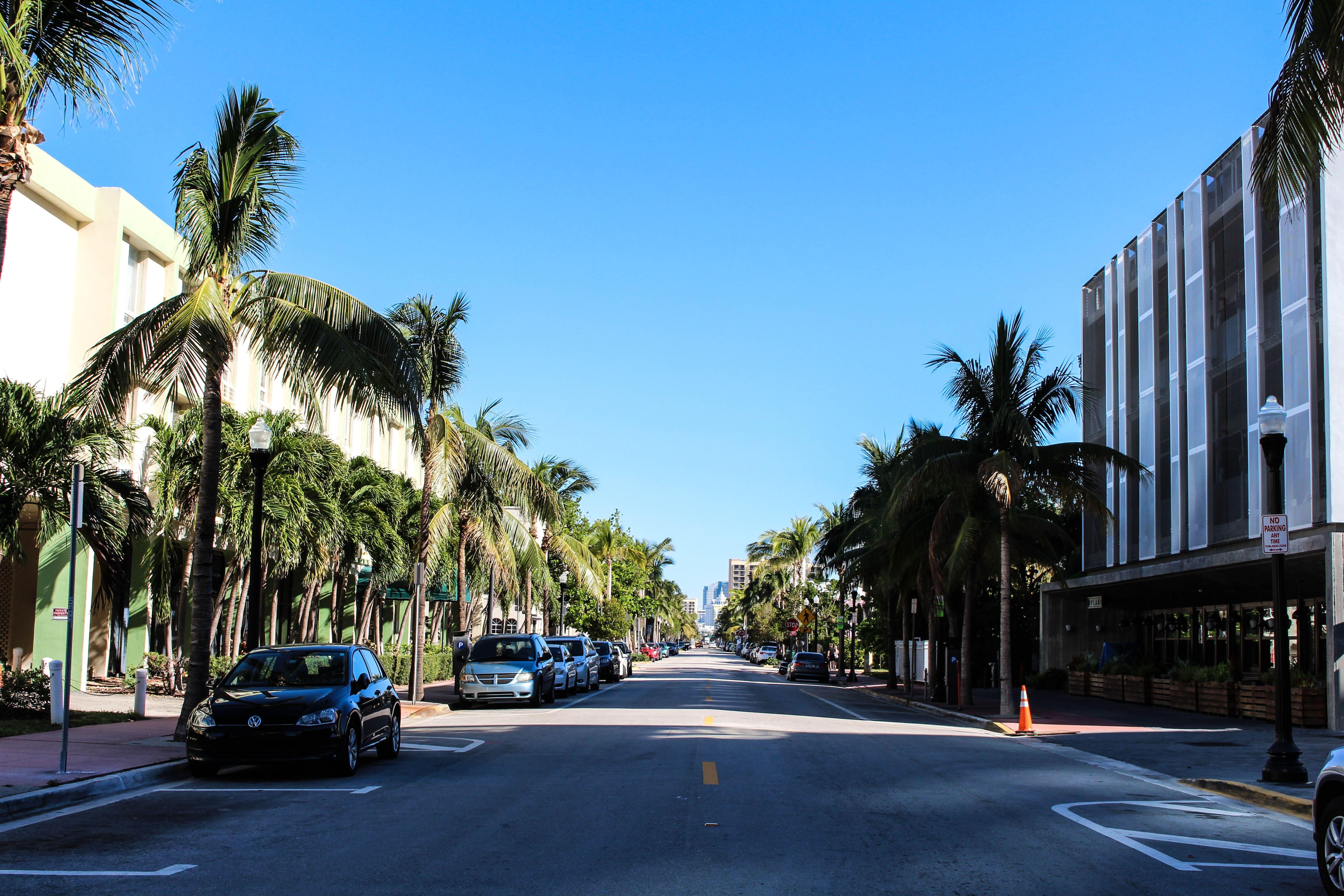 CityCarts - Our Rental, Custom & Advertising Services